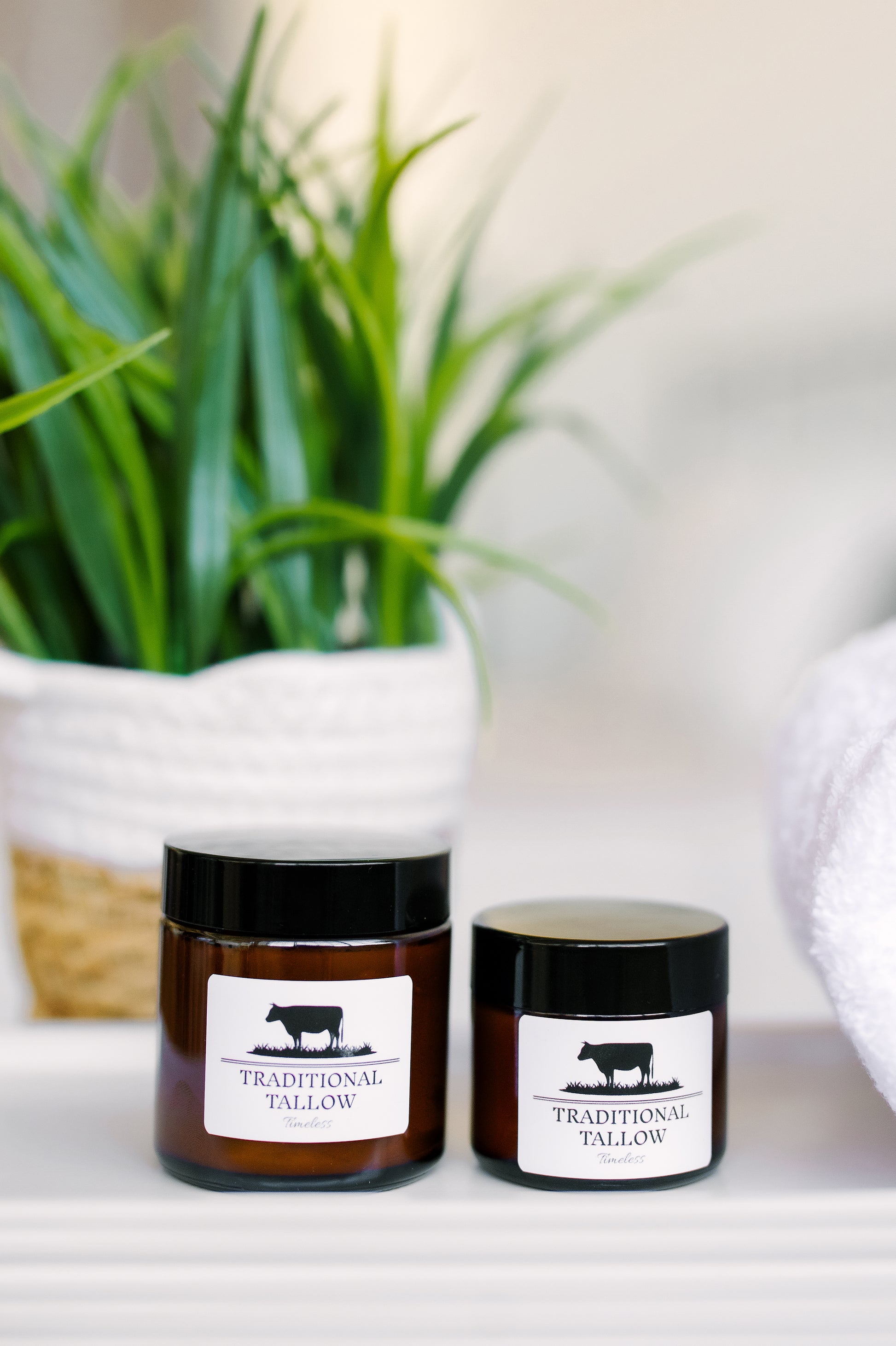 Radiant Collection (formerly Timeless) – Traditional Tallow